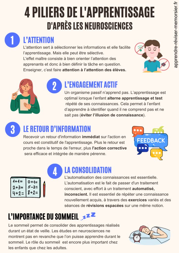 Les 4 piliers de l’apprentissage de Stanislas Dehaene – La boite a ressources